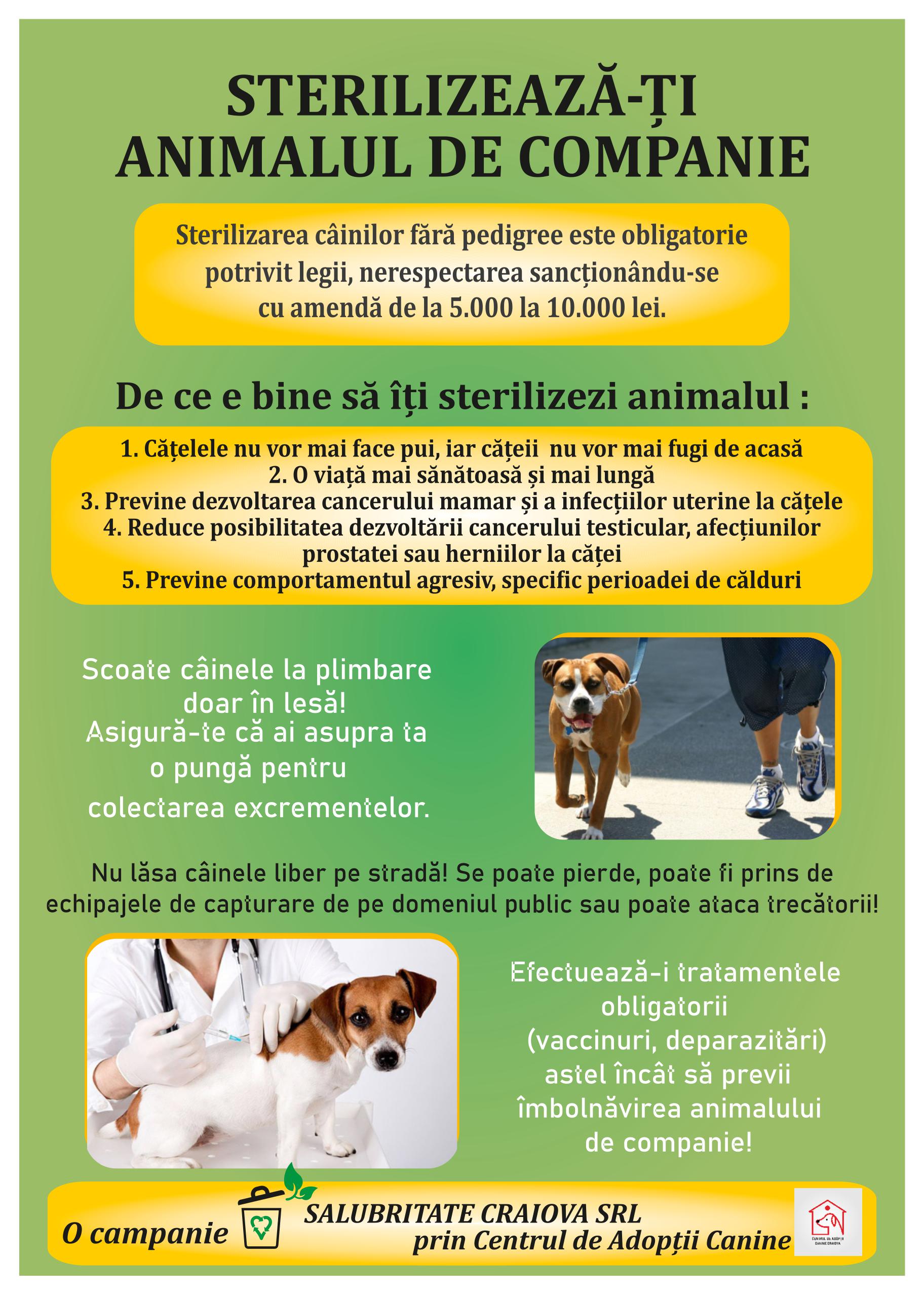 Campanie de promovare a cățeilor fără stăpân din Centrul de adopții Craiova