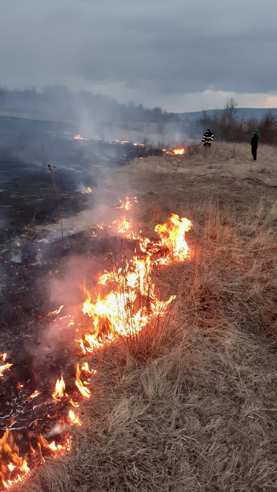 ISU Dolj: 128 situaţii de urgenţă