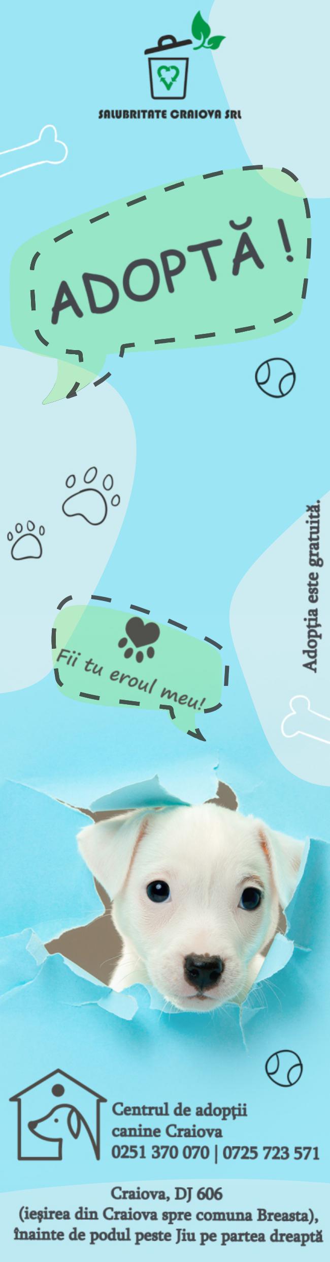 Cățeii fără stăpân, promovați la Biblioteca „Amanˮ | Euro Sud TV