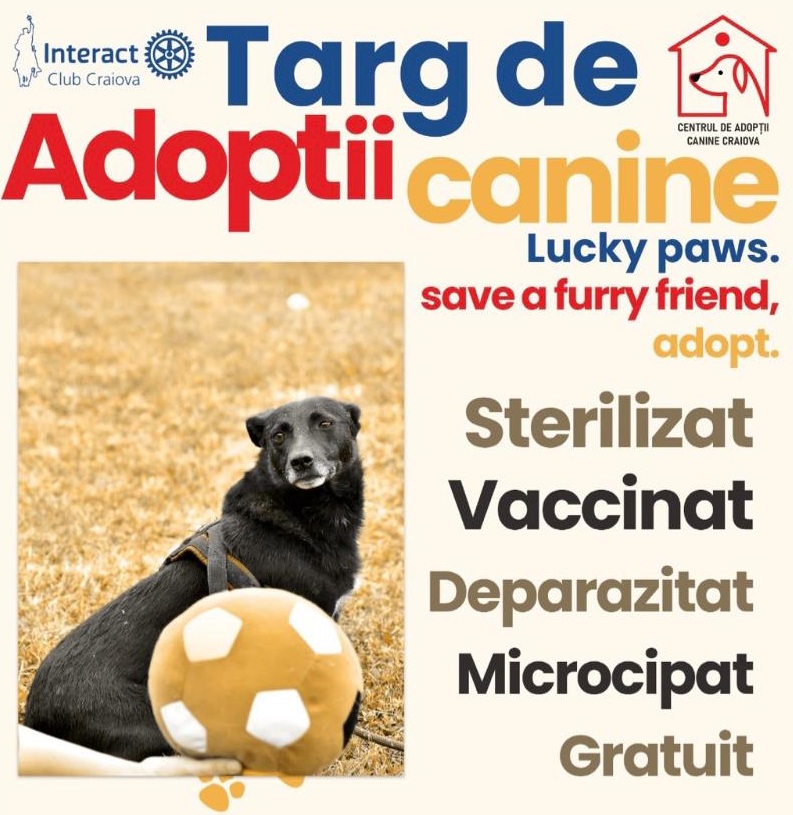 Târg de adopții canine în Parcul Romanescu | Euro Sud TV