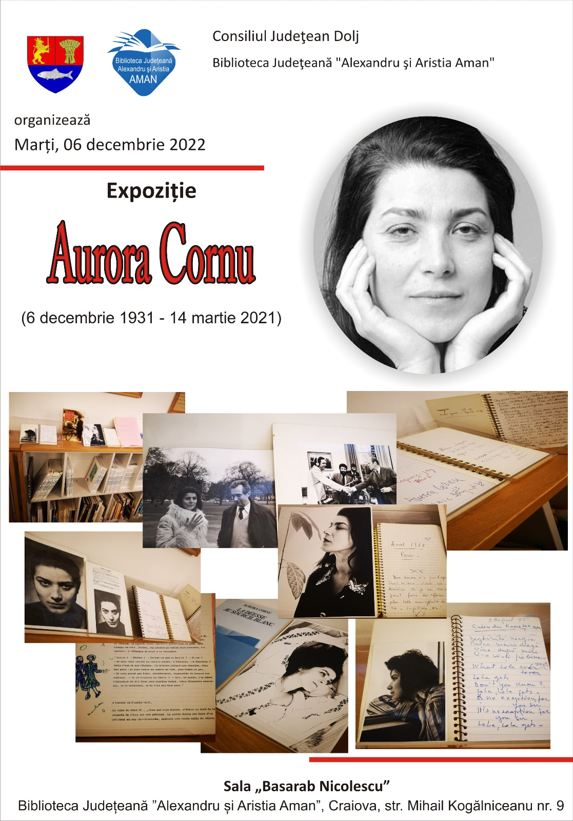Expoziție Aurora Cornu, la Aman