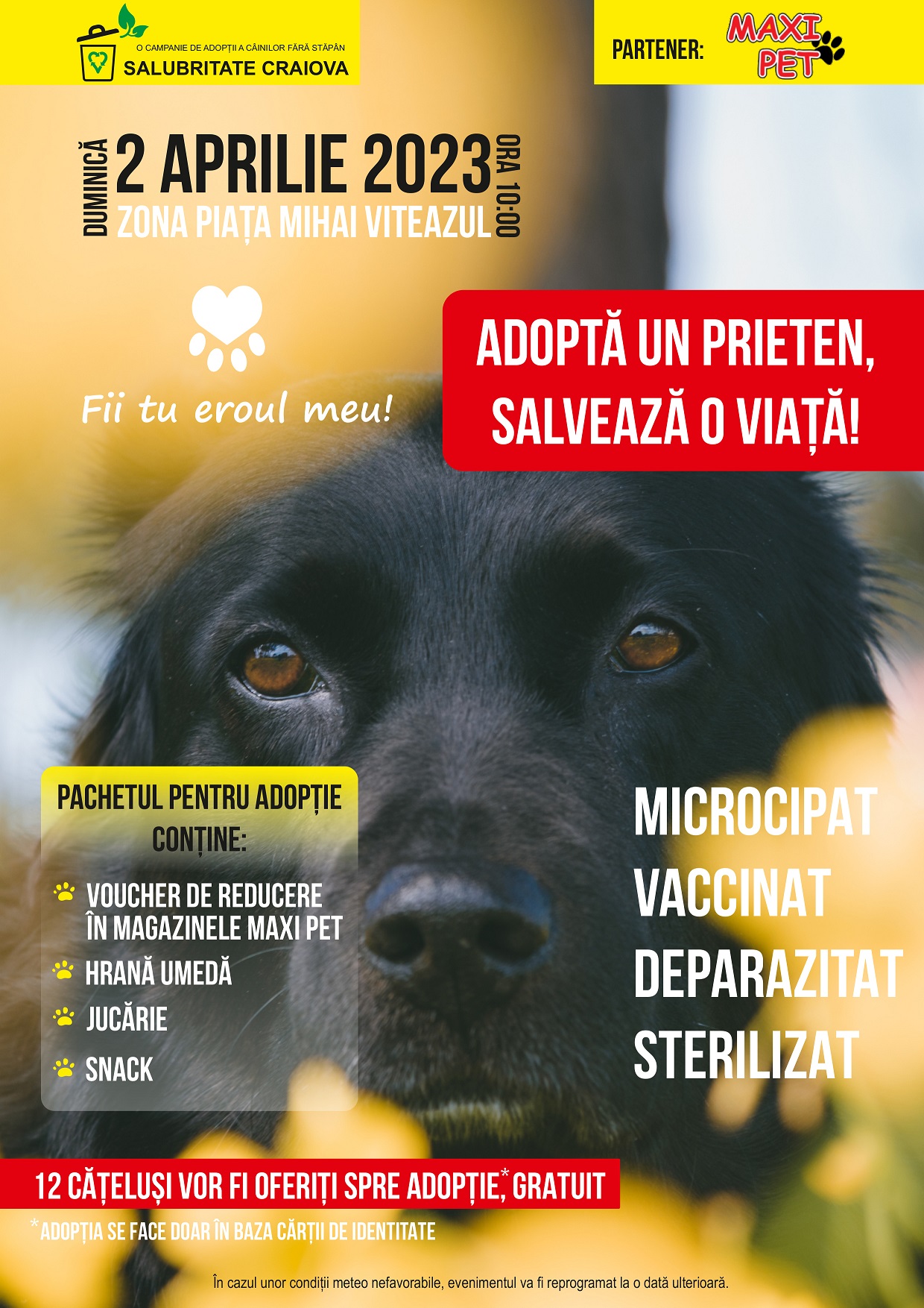 Nou târg de adopții canine | Euro Sud TV